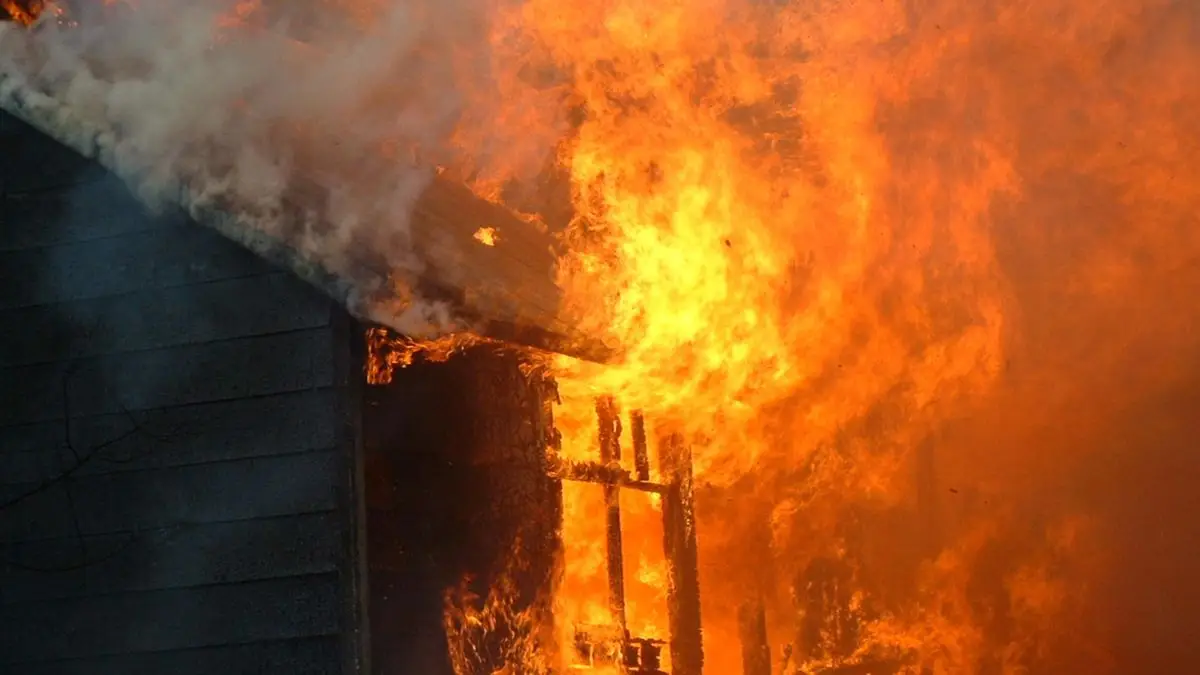 Illinois House Fire Caused by Space Heater Kills Two Dogs ...